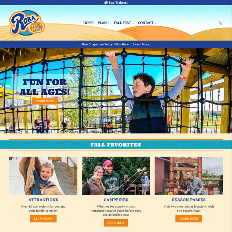 Website Design & Development | Website Design & Omnichannel Solutions | WDD